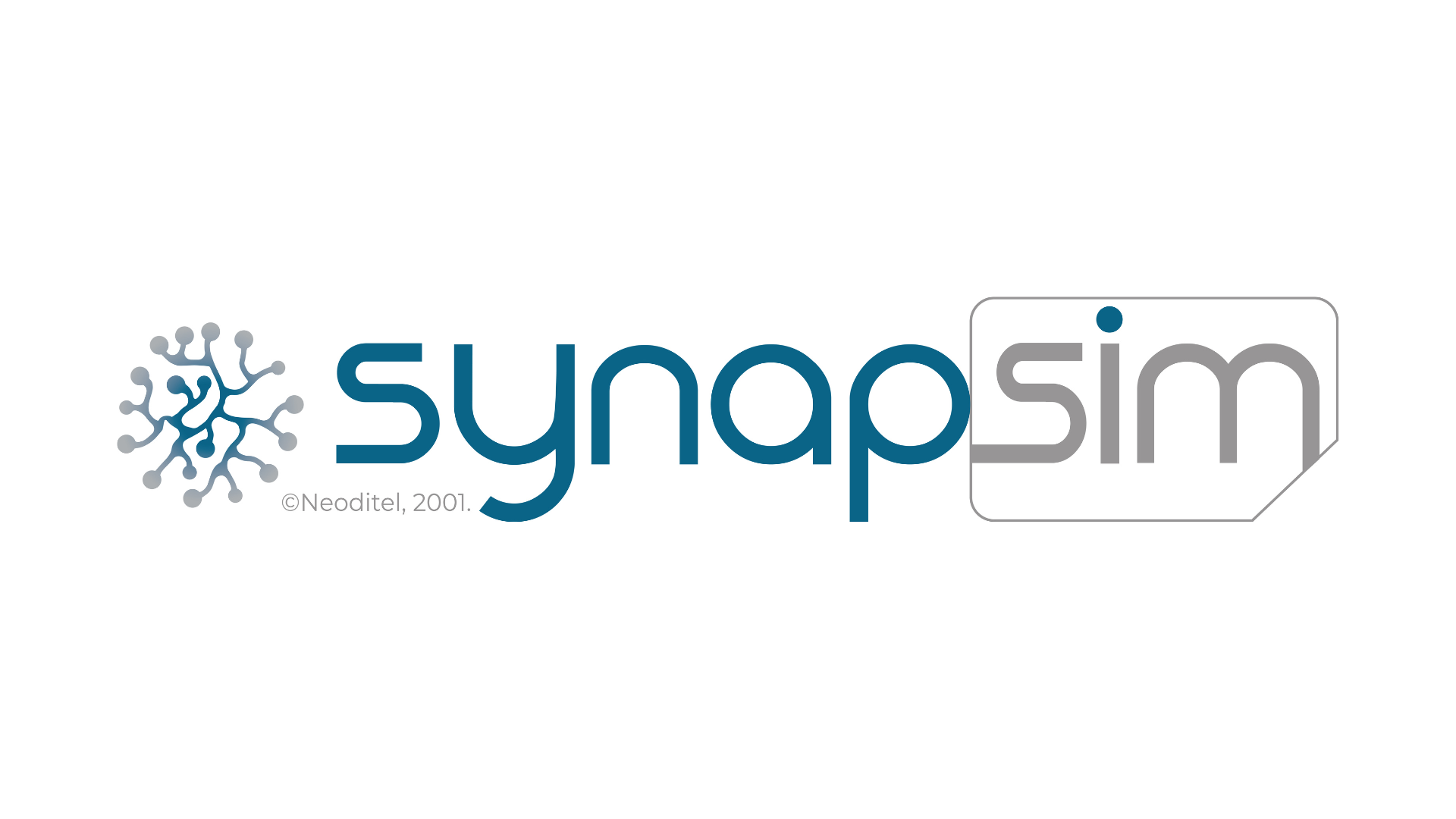 Présentation de la Gestion Déléguée | SynapSIM